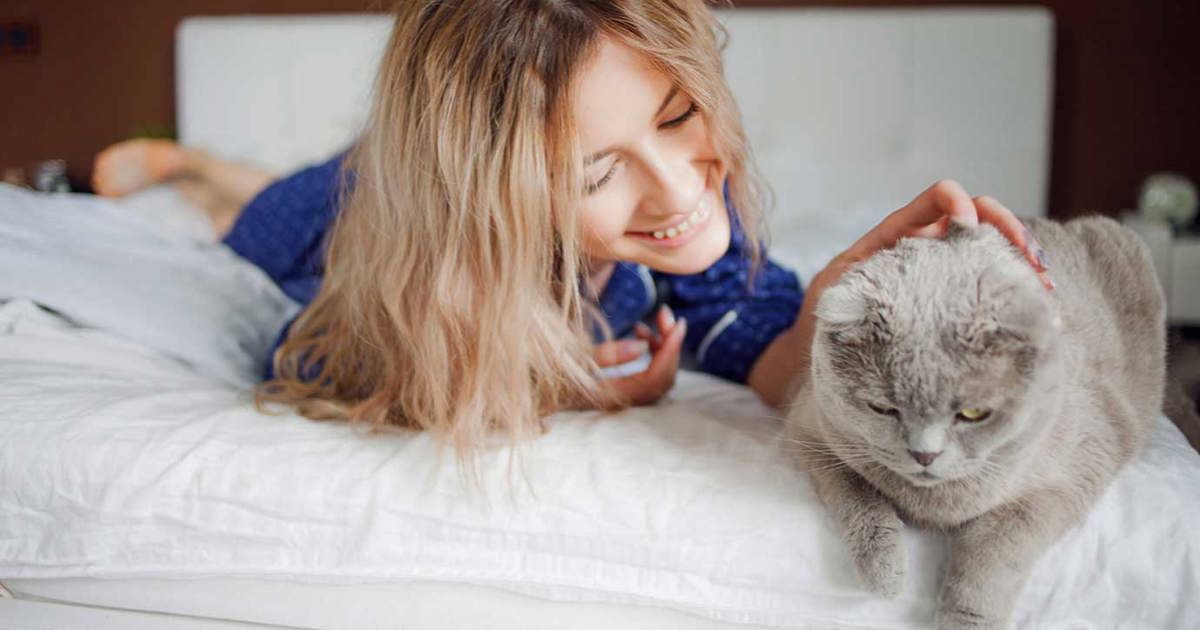 Kissalle allerginen? Kissa-allergia ja sen syyt - Lotus