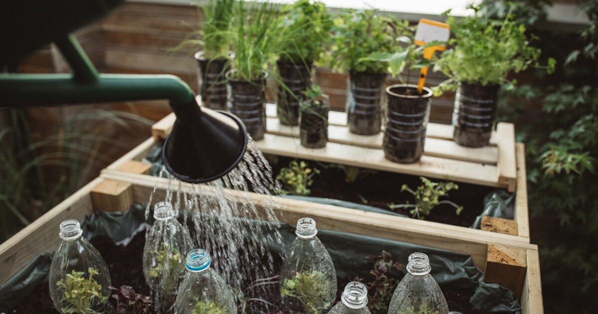 Réduire, Réutiliser, Recycler : définition et conseils - Lotus